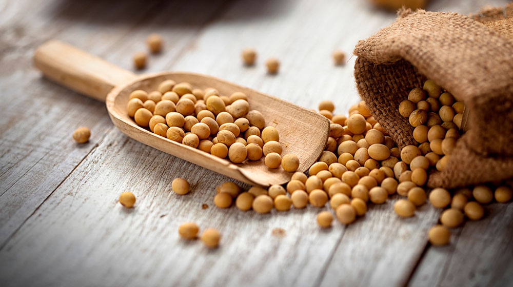 4 beneficios del consumo de soya – Periodico Expectativa – Noticias de ...